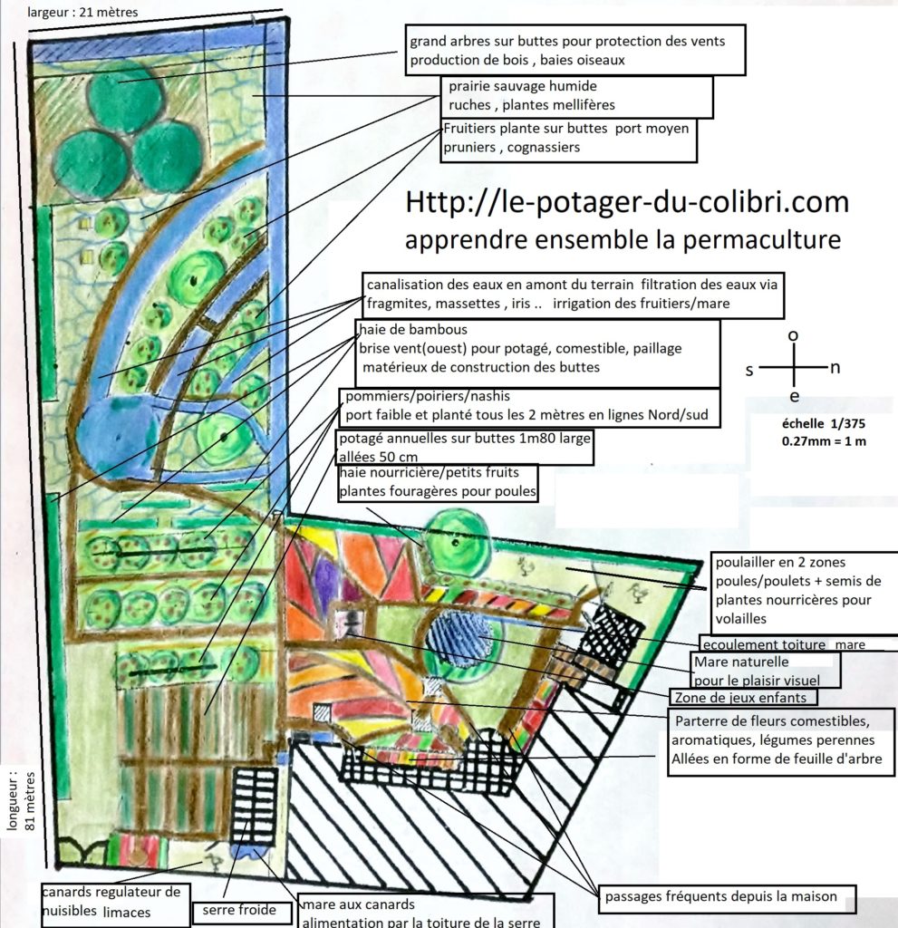 Potager en permaculture : comment le concevoir